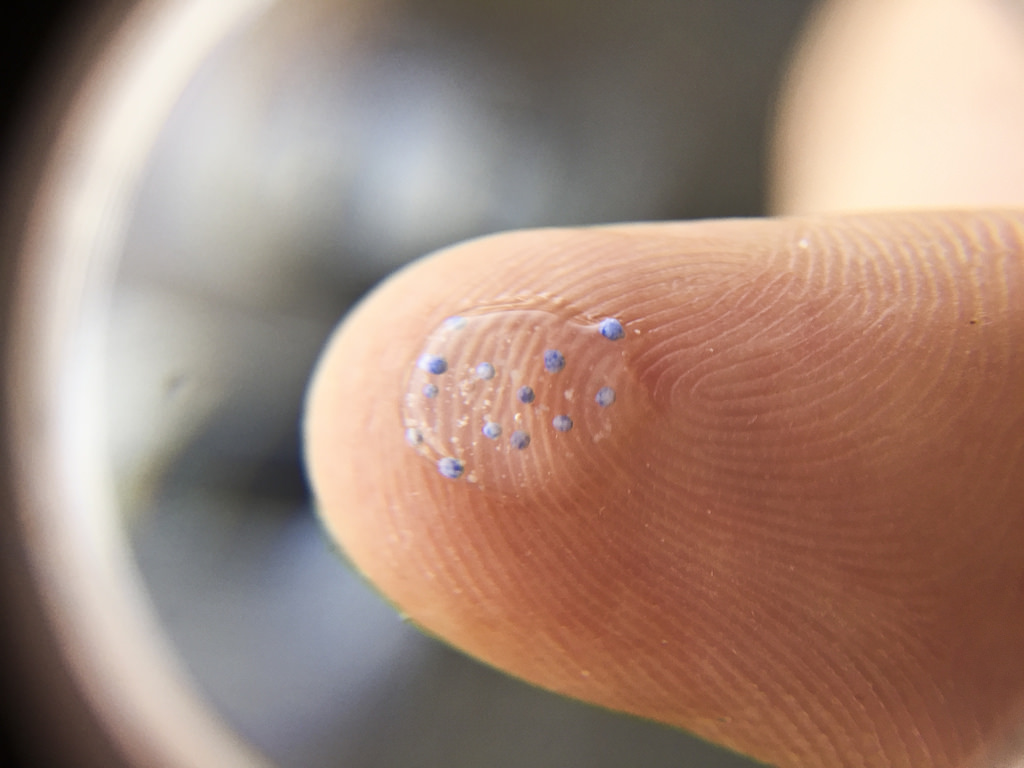 Swedish fish and microbeads study was faked – Green Jihad