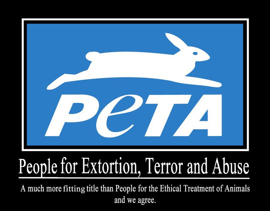 Backlash Against PETA for Dissected Cat With Cake Meme – Green Jihad