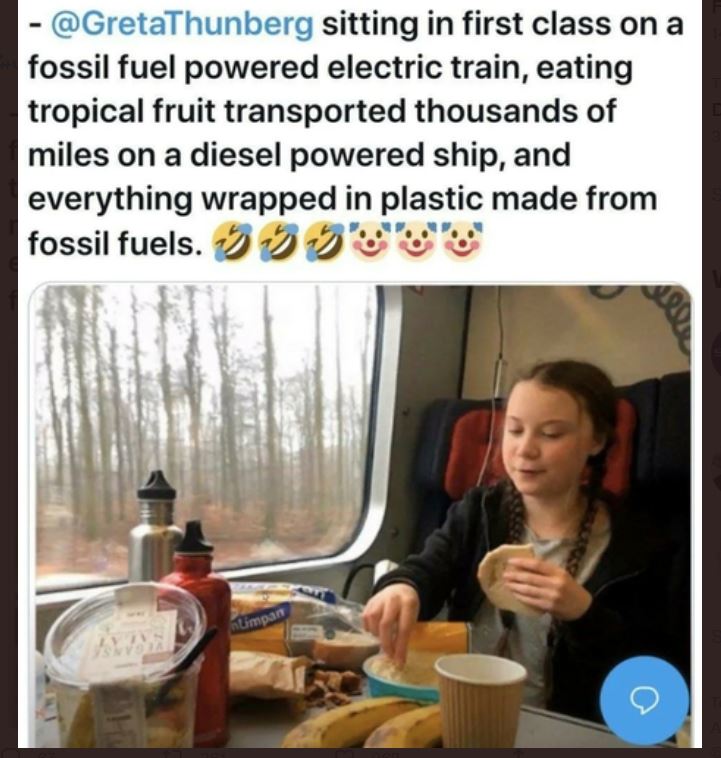 Greta Thunberg Deletes 2018 Tweet Predicting End Of Humanity In 5 Years ...