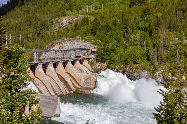 Destroying Dams Will Only Waste Money And Not Save Salmon – Green Jihad
