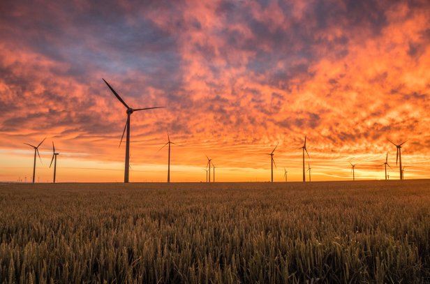 Renewable Companies Collude With State Authorities To Displace Rancher ...